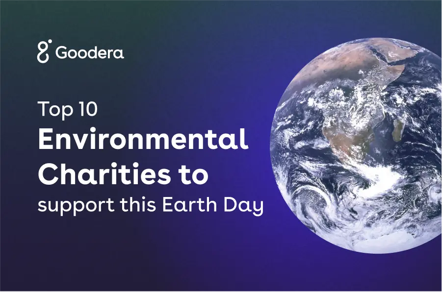 10 Best Environmental Charities to support in 2023